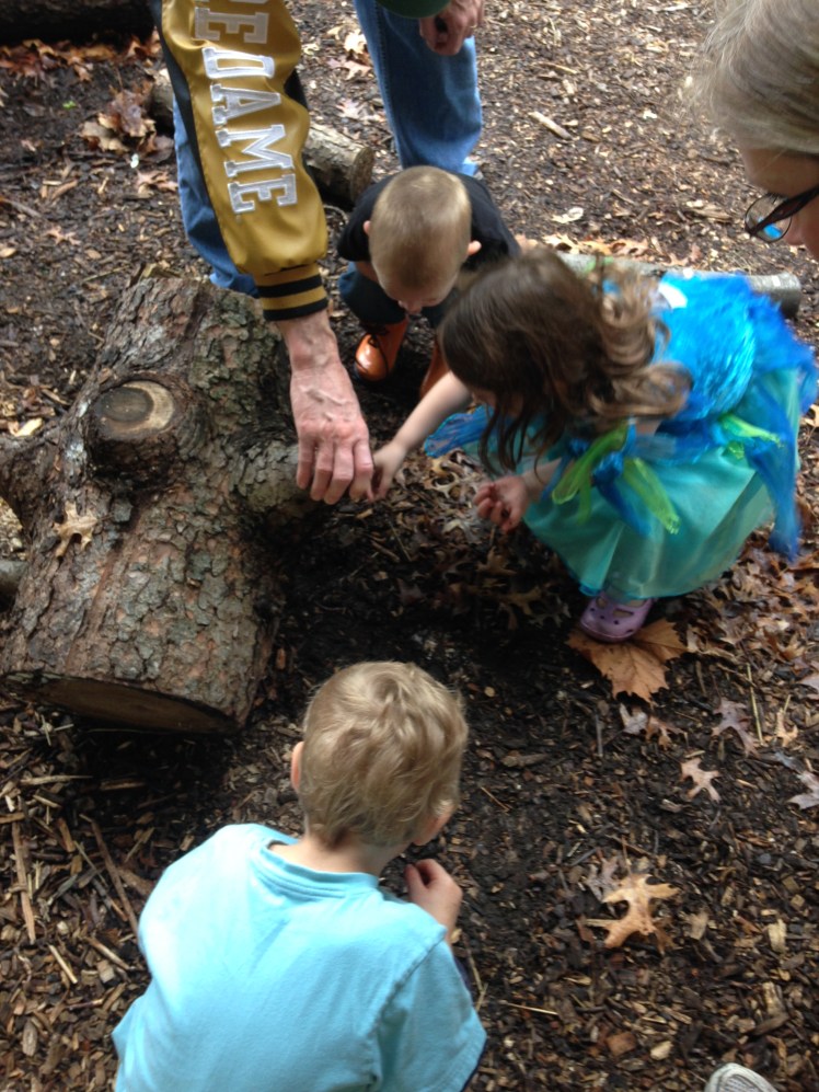 Look under a rock / log – 52 Things Outside